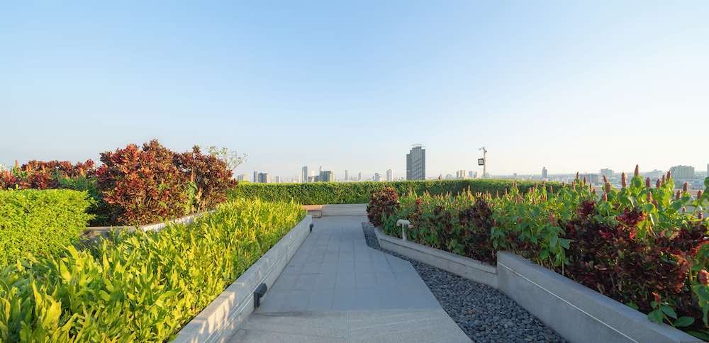 Rooftop Gardens - Discover the Power of Sustainable Cities